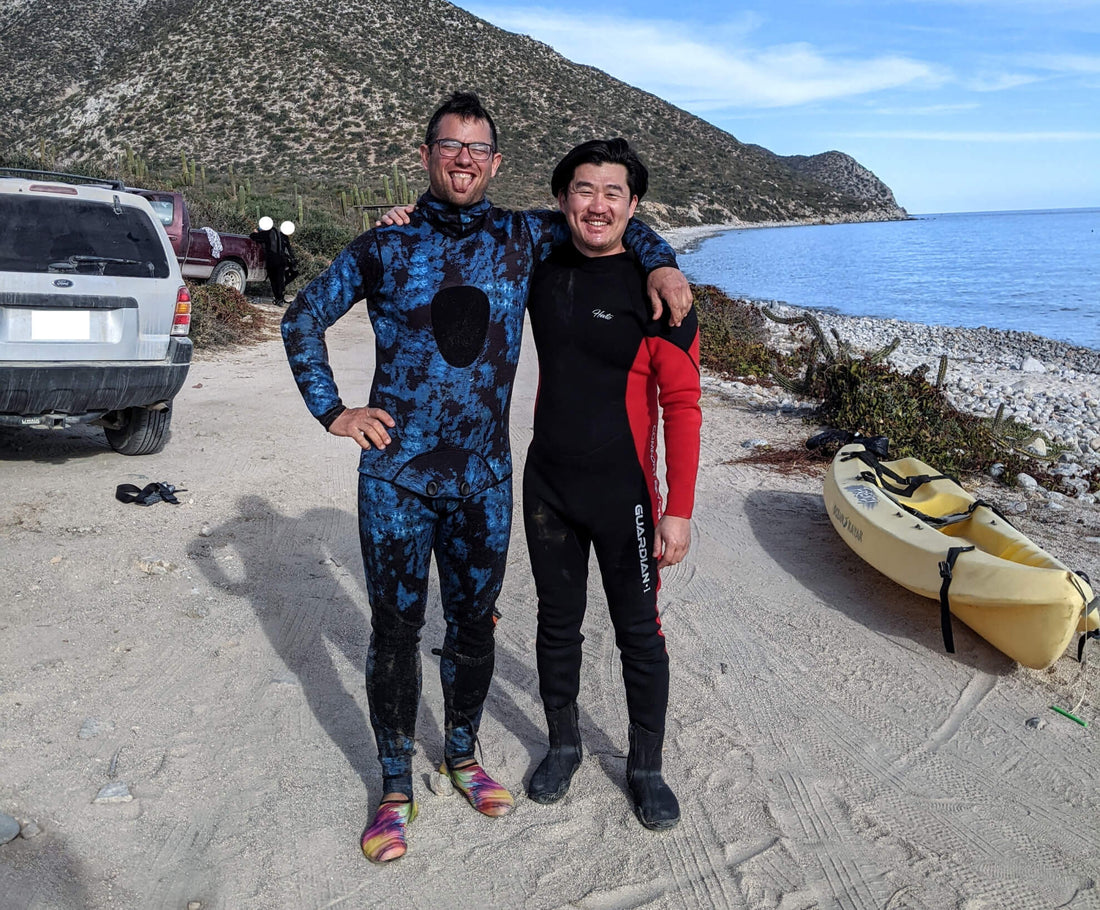 Who – Make Sunsets